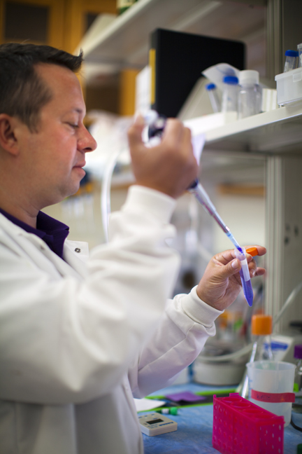 Insight from Dr. Penzes’ research work to help scientists understand ...